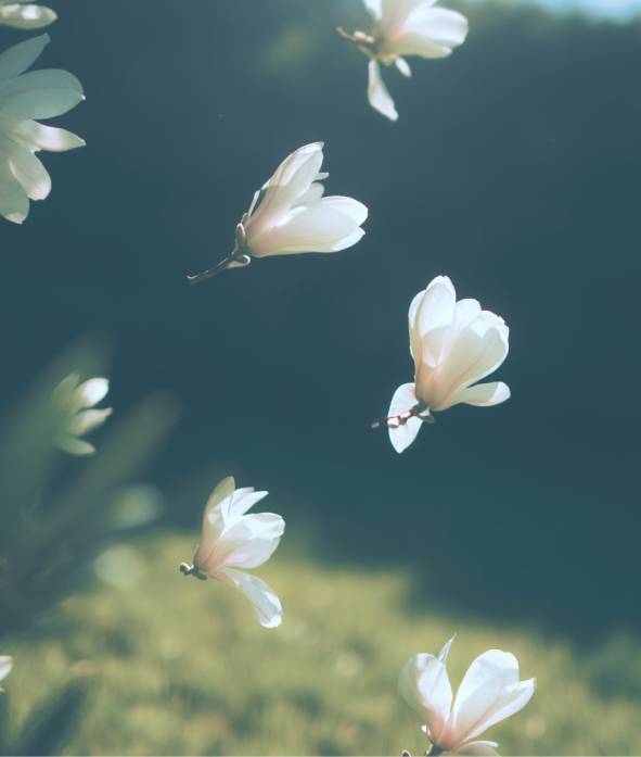 Eau de parfum 30 ml - Flower Mania