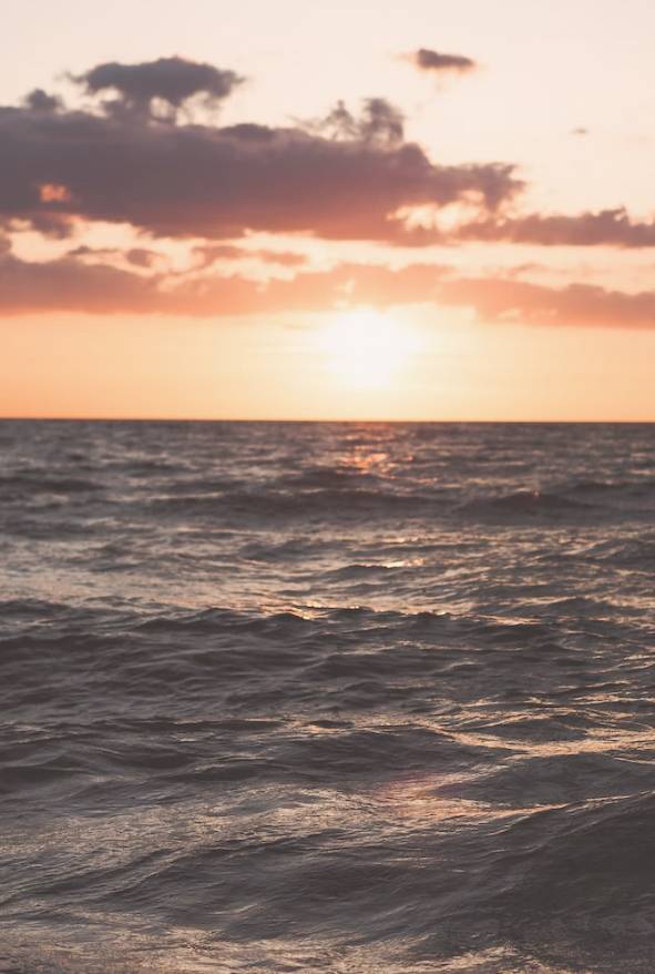 Eau de parfum 30ml Chic & Sun - Adopt Parfum