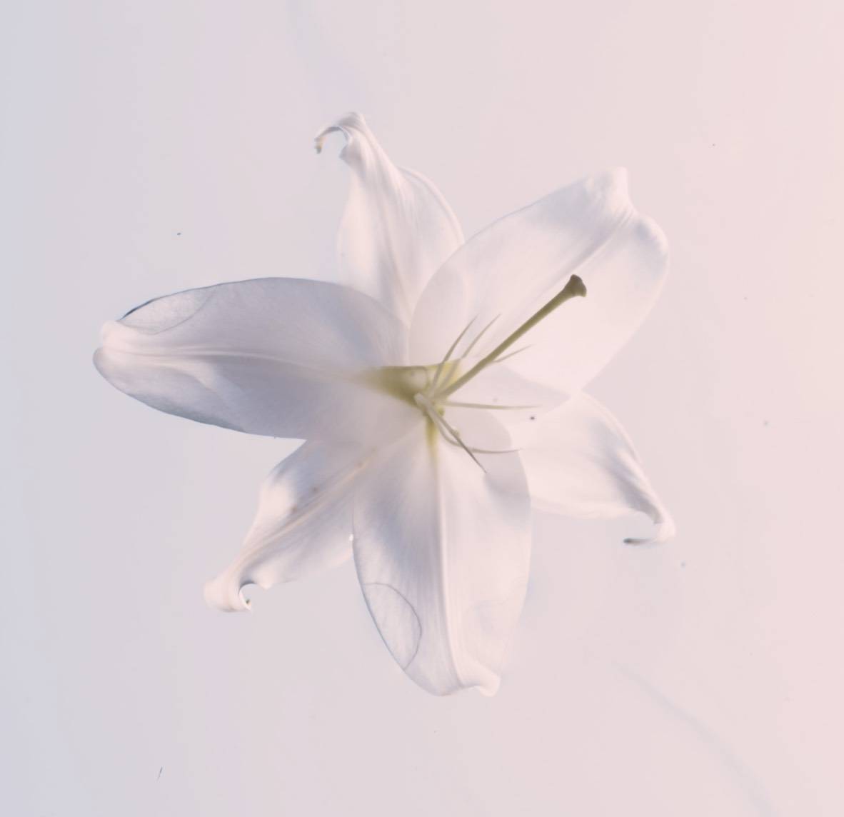 Paris Rêverie - eau de parfum 30 ml