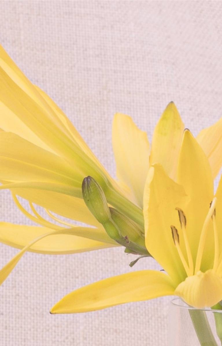 Paris Rêverie - eau de parfum 30 ml